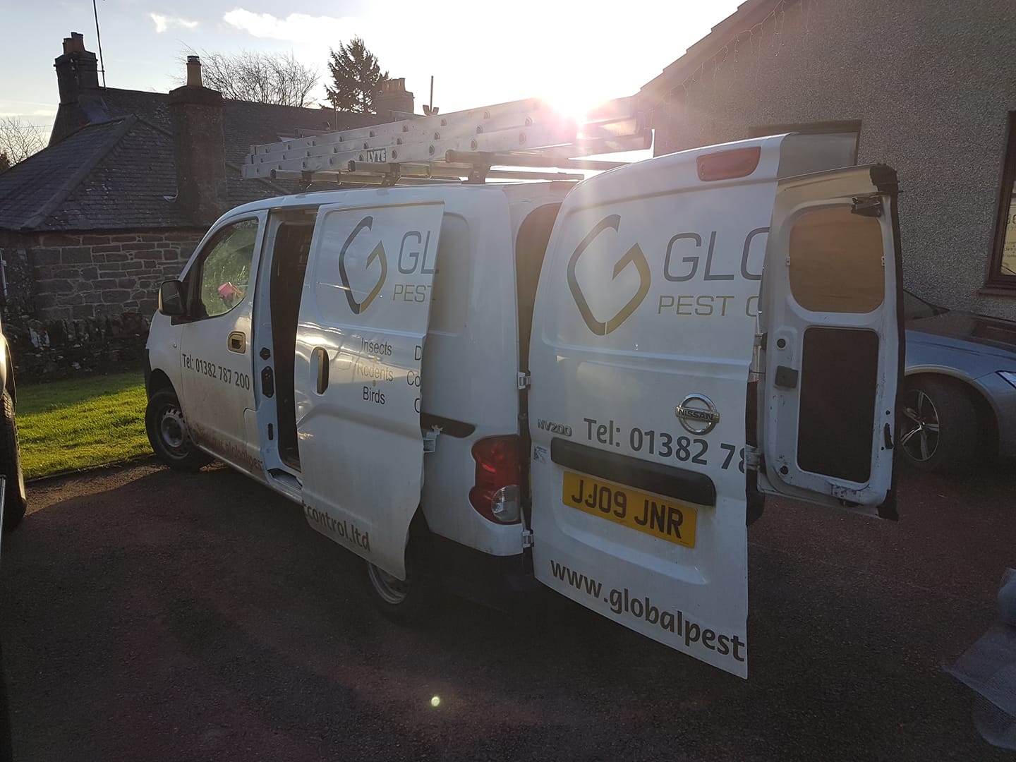 Domestic pest management from Global Pest Control